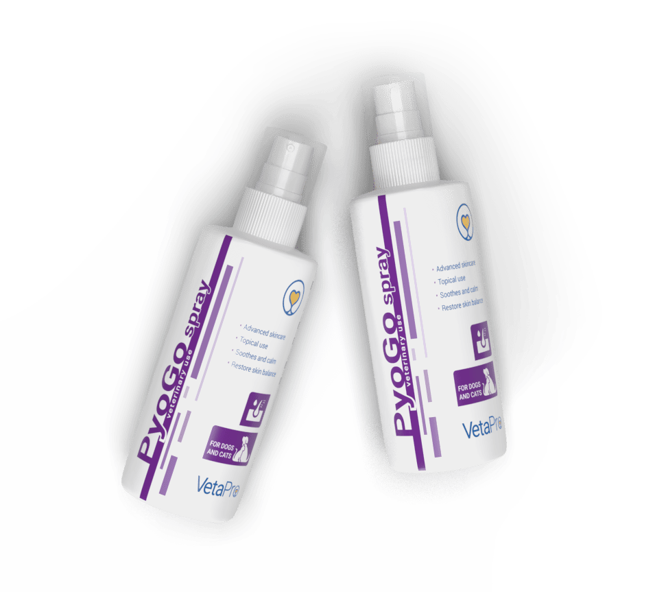 OtiPro | Dermatological Formula for Pets | VetaPro